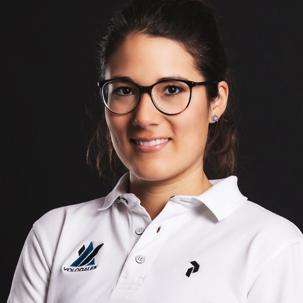 Volodalen laboratory - Motor Preferences Experts